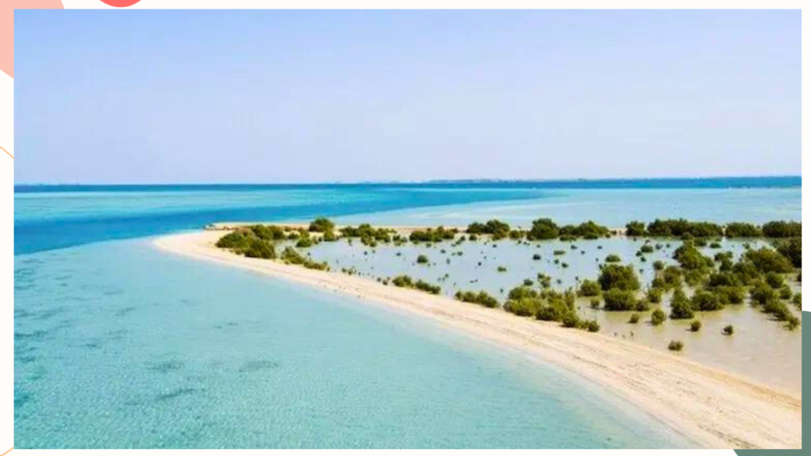 10 Best Beaches In Saudi Arabia